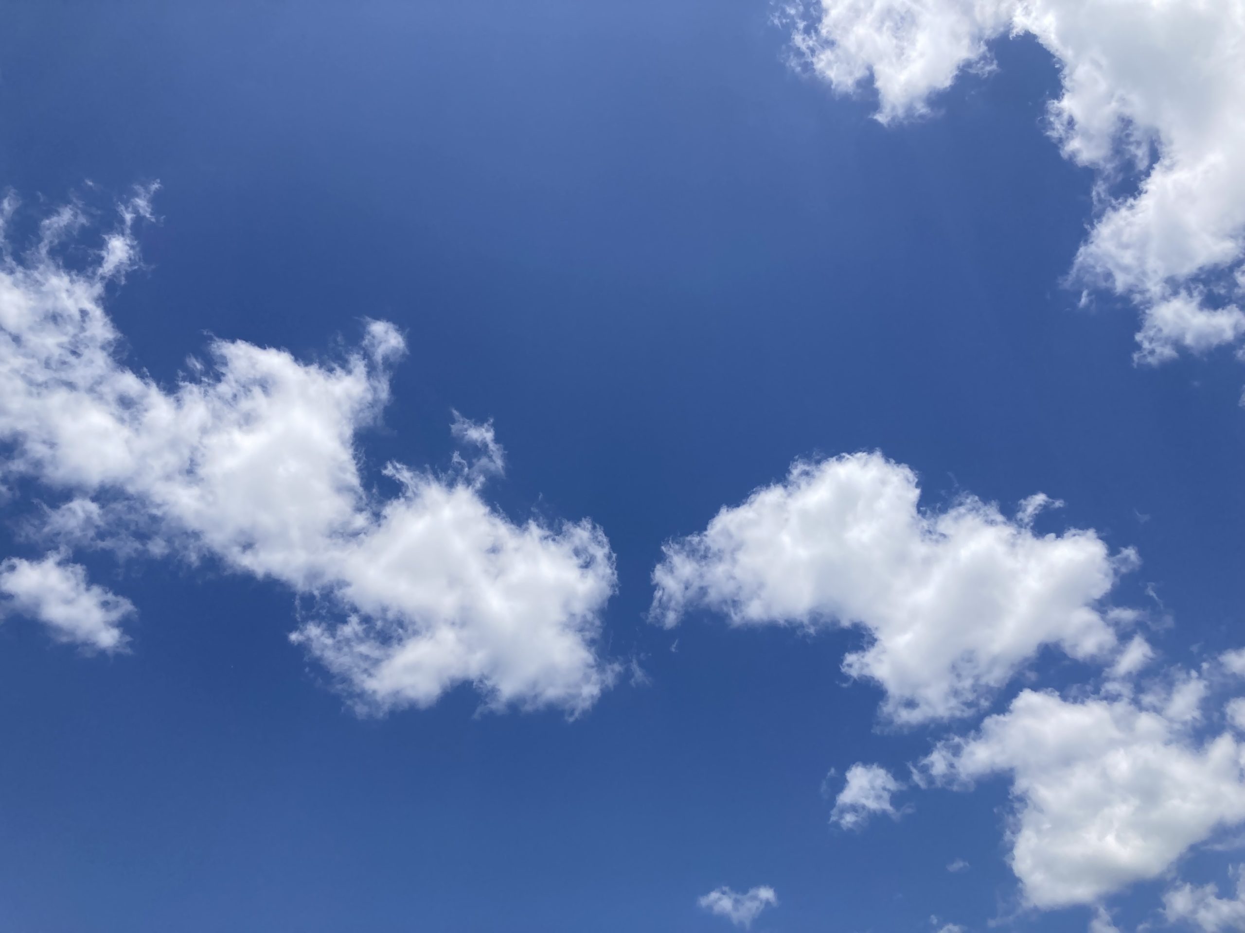 今年も、飛行機遅延⁈年末の慌ただしさ増し増し | 低糖プリンの店 SWEETS LABO Laugh&Rough（ラフ&ラフ）